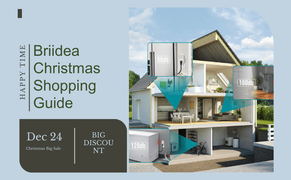 Briidea Christmas Shopping Guide: Essential Products for a Cozy and Sa ...