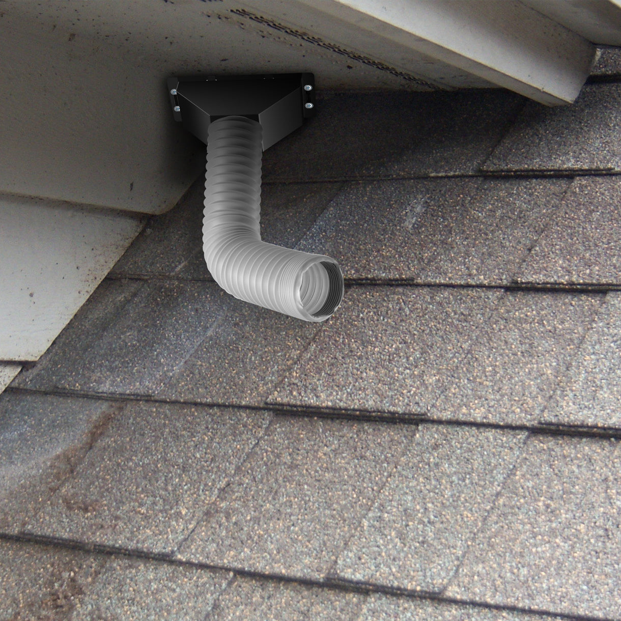 The Bat Valve, Briidea Bat Exclusion Device, Reusable One Way Bat Door ...